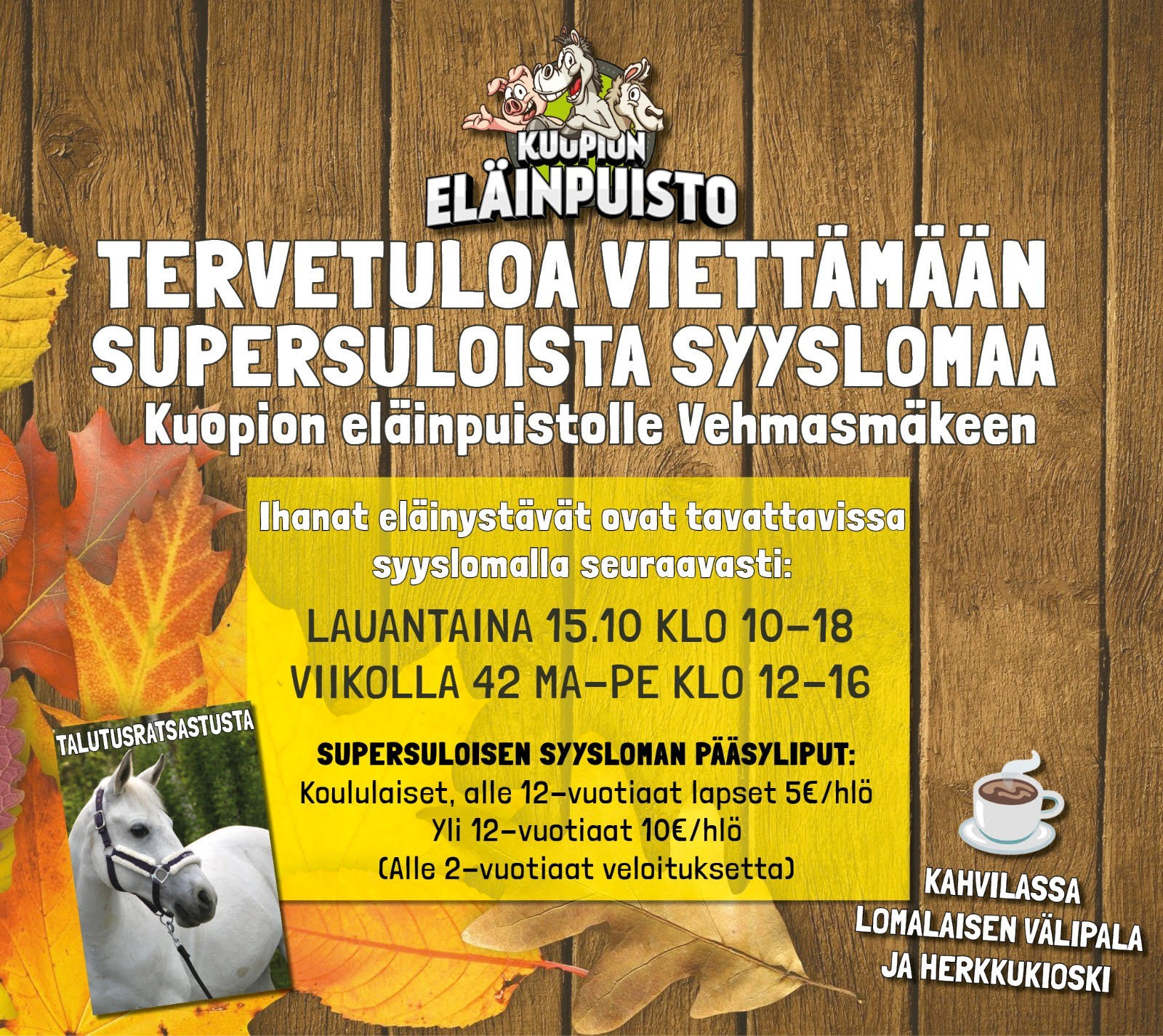 Supersuloinen Syysloma Vehmasmäessä! - Kuopion Eläinpuisto